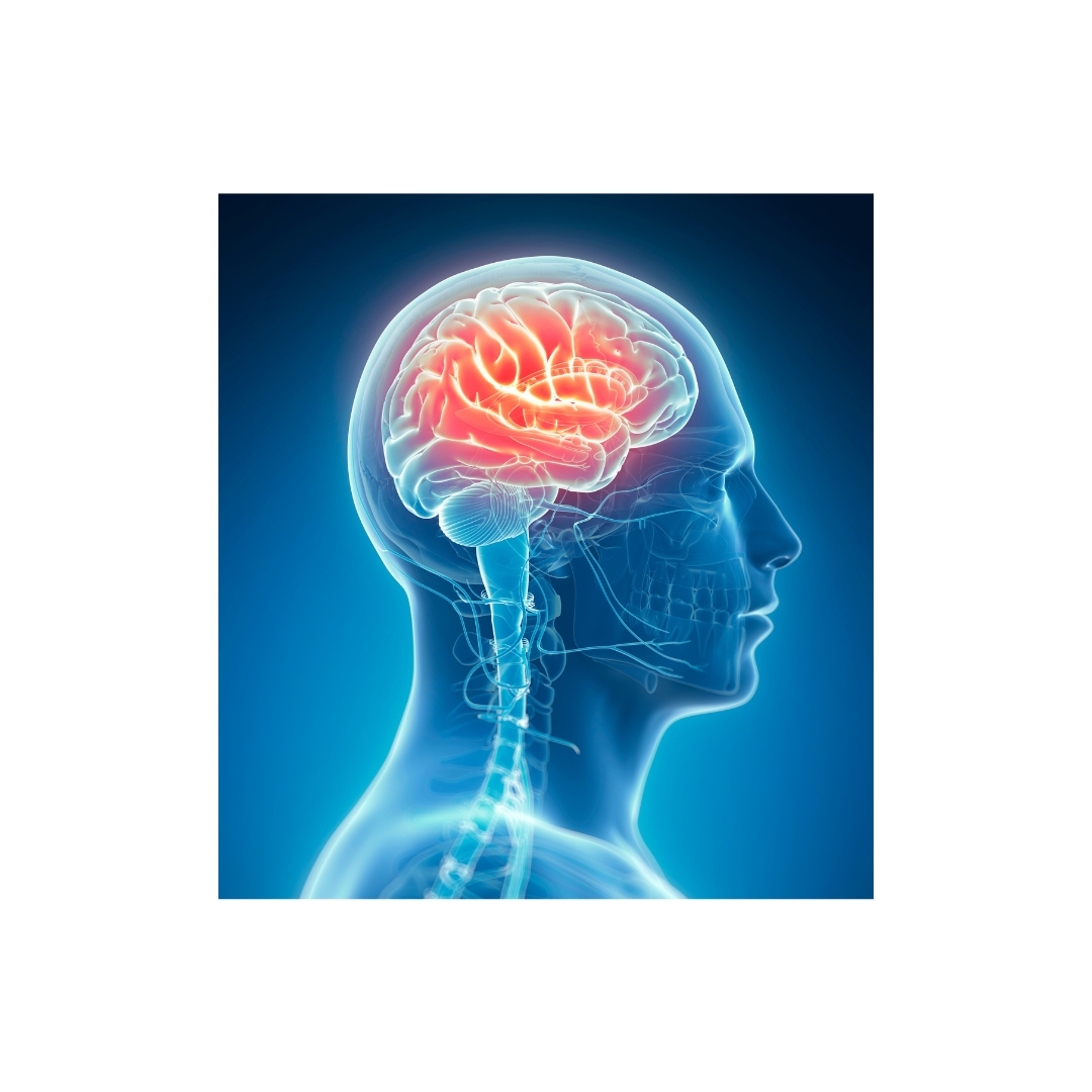 Soveltavan neurologian hyödyntäminen päänsäryn, huimauksen ja kipujen ...